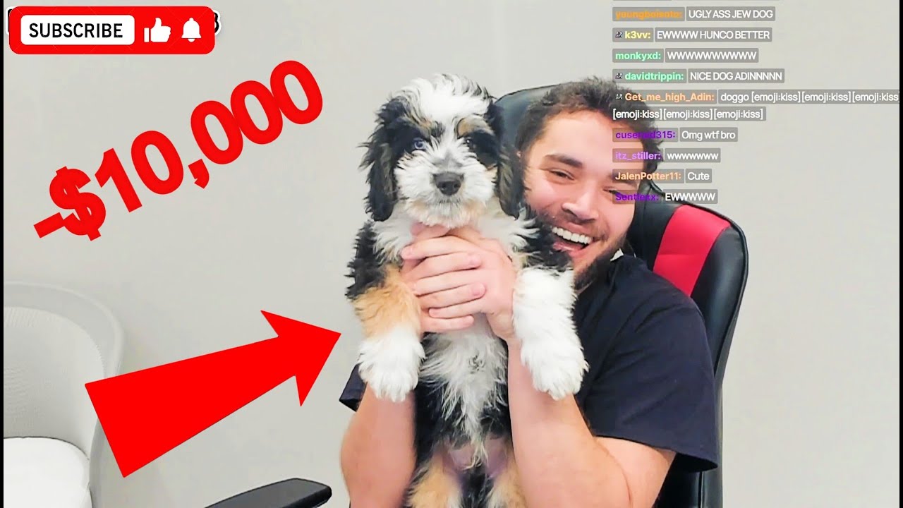 Adin Ross Reveals His New $10,000 Dog - YouTube
