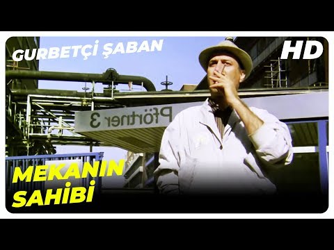 Hans, Şaban'ın Hizmetçisi Oldu | Gurbetçi Şaban Kemal Sunal Türk Filmi