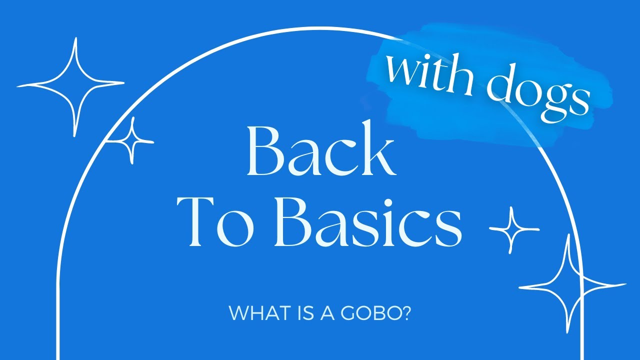 Back To Basics (with dogs) ~ What Is A Gobo? - YouTube