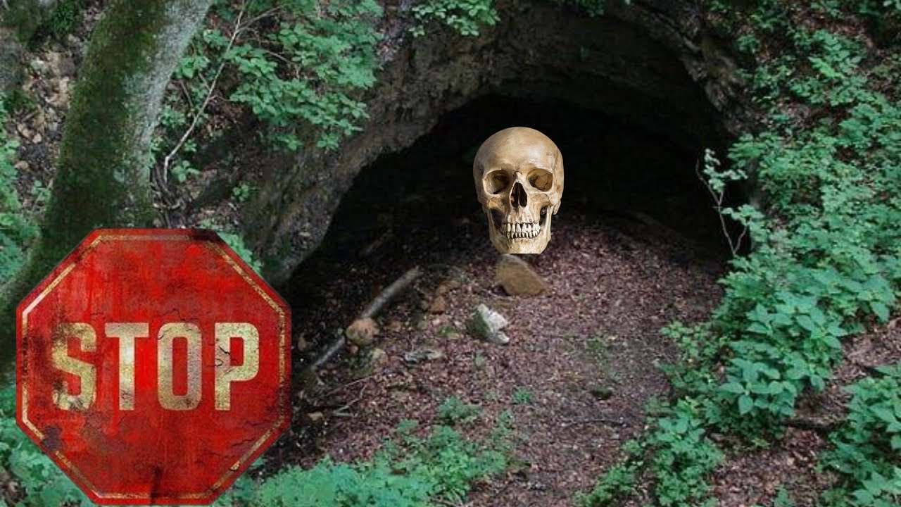 Floyd Collins: The Haunting Sand Cave DisasterTrapped Beneath the Earth ...