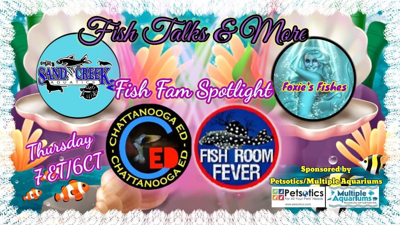 Fish Talks & More - Fish Fam Spotlight - YouTube