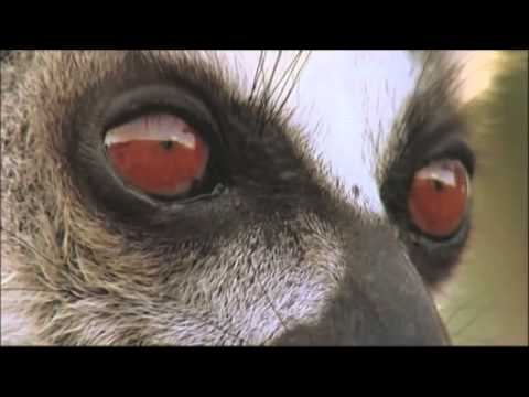 Discovery Channel Song! - YouTube