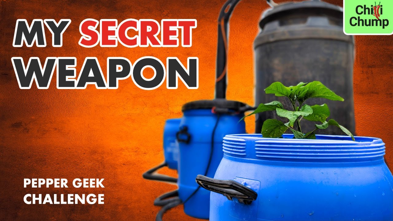 Hydroponics Build for Monster Superhot Chilli Pepper Plants! - YouTube