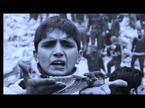 ERSİN ERZİNCAN: -anKARA-