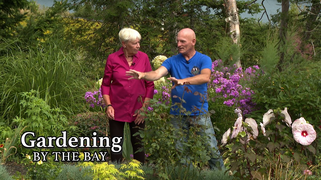 Gardening by the Bay: Two Gays In A Garden 2024 Update, Part 1 - YouTube