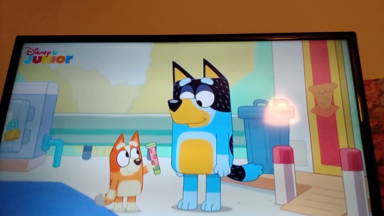 Desene animate cu Blue și Bingo în engleza - YouTube