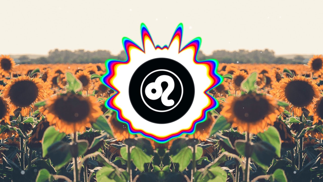 Post Malone Swae Lee Sunflower Dj Carnivore Remix Feat Pane