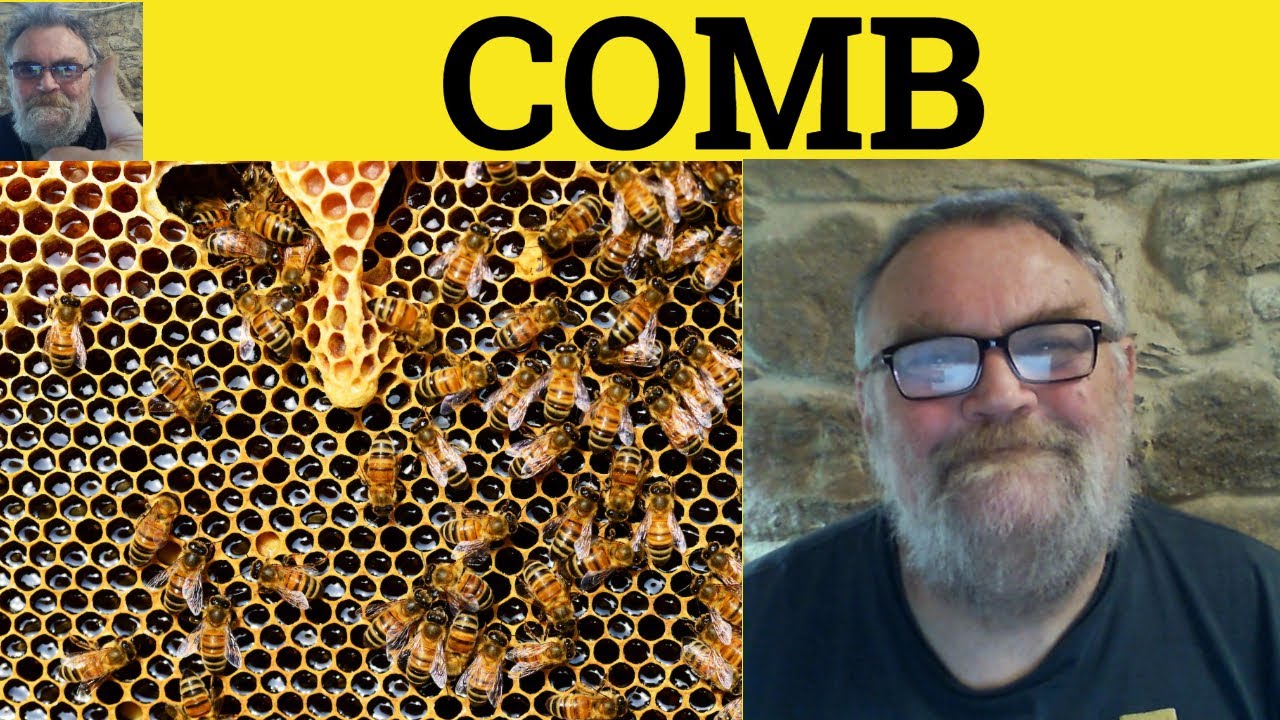 🔵 Comb Meaning - Comb Examples - Beachcomber Cockscomb Honeycomb - Comb ...