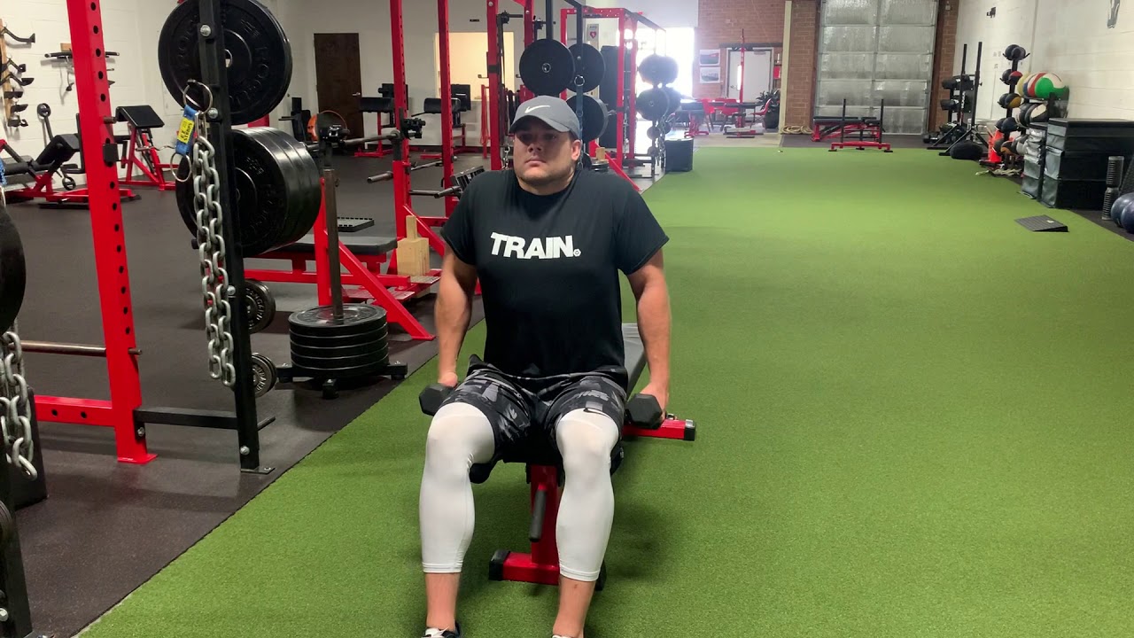 Seated Dumbbell Shrug - YouTube