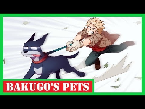Bakugo's Pets (My Hero Academia Comic Dub)