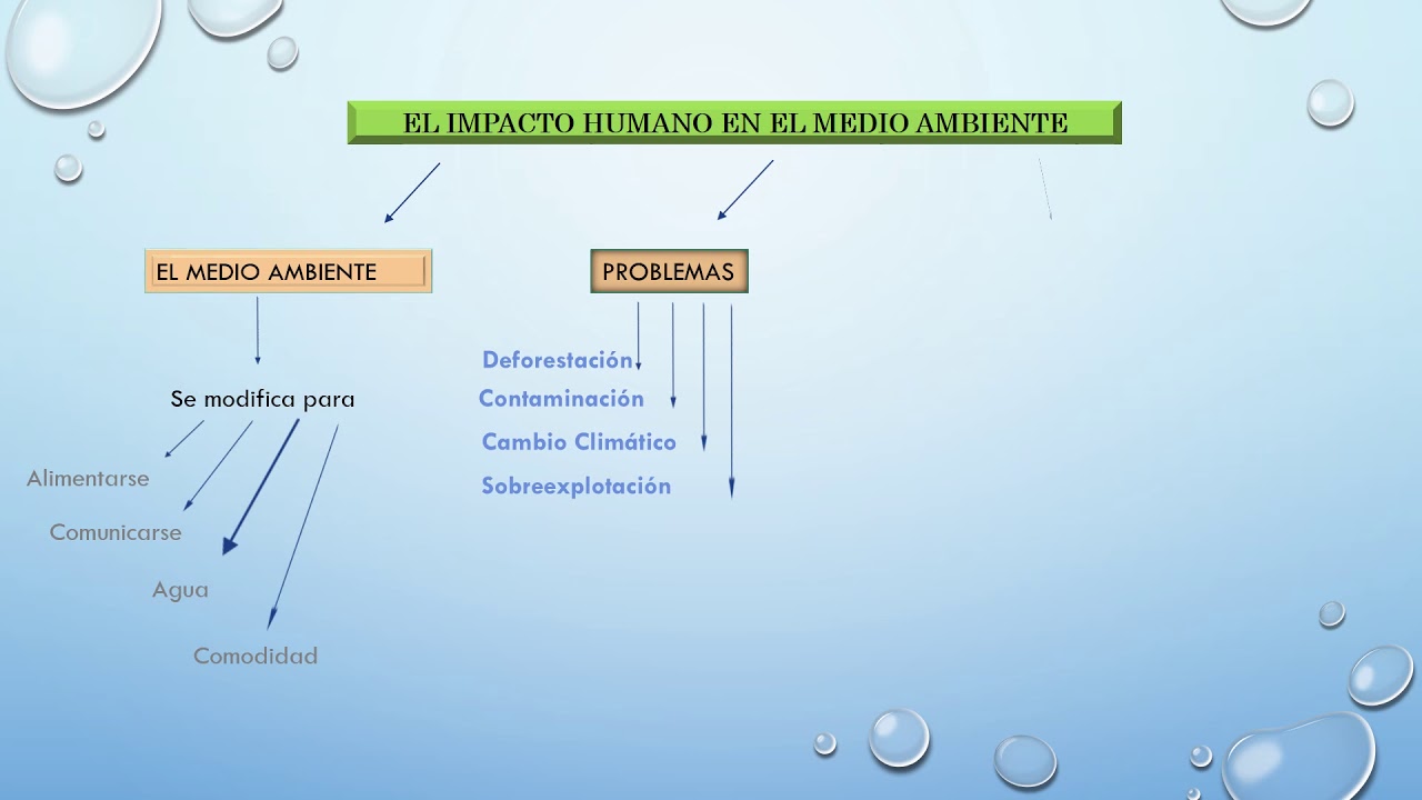 Esquema del impacto humano en el medio ambiente realizado por Rafael ...