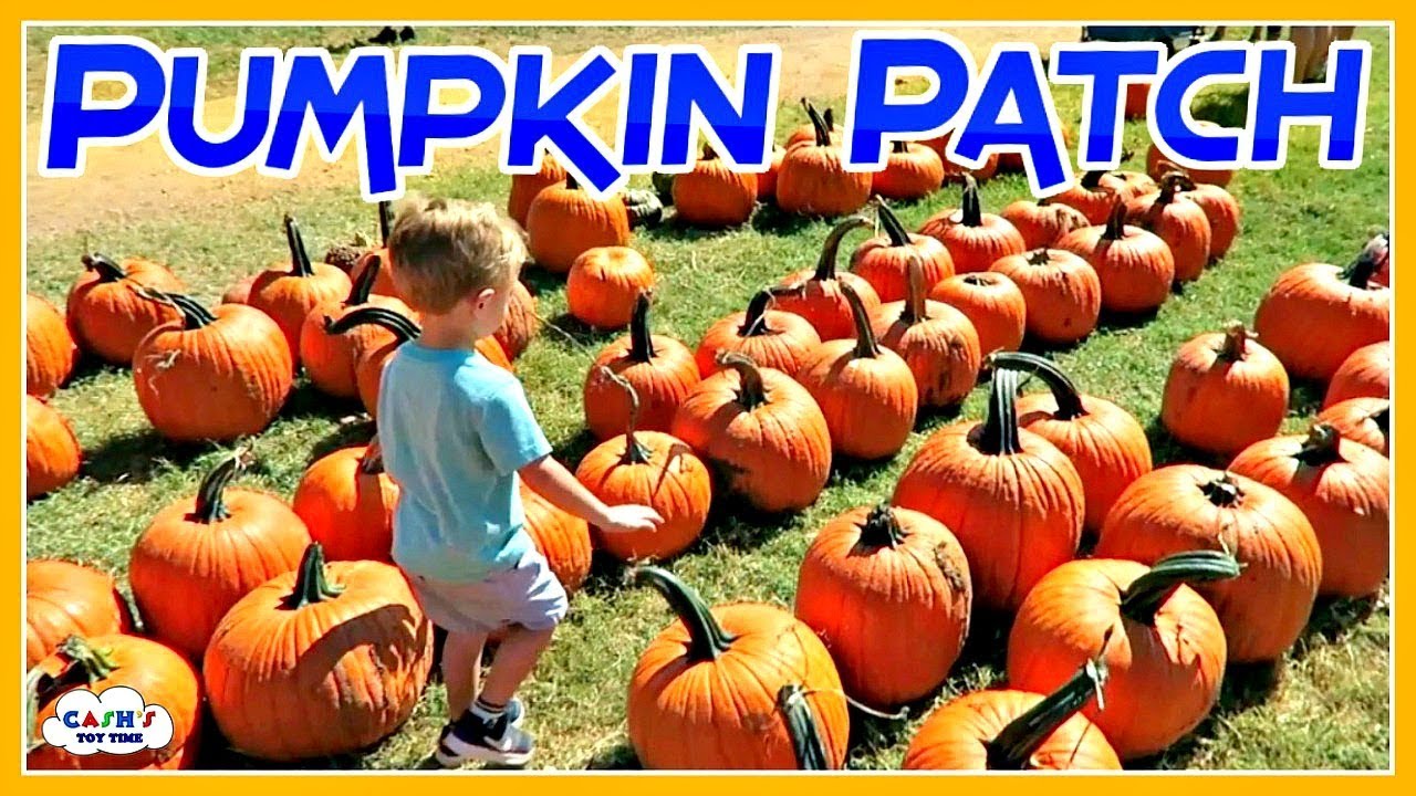 PUMPKIN PATCH Adventures Activities For Kids YouTube pumpkin-patch-adventures-activities-for-kids-youtube