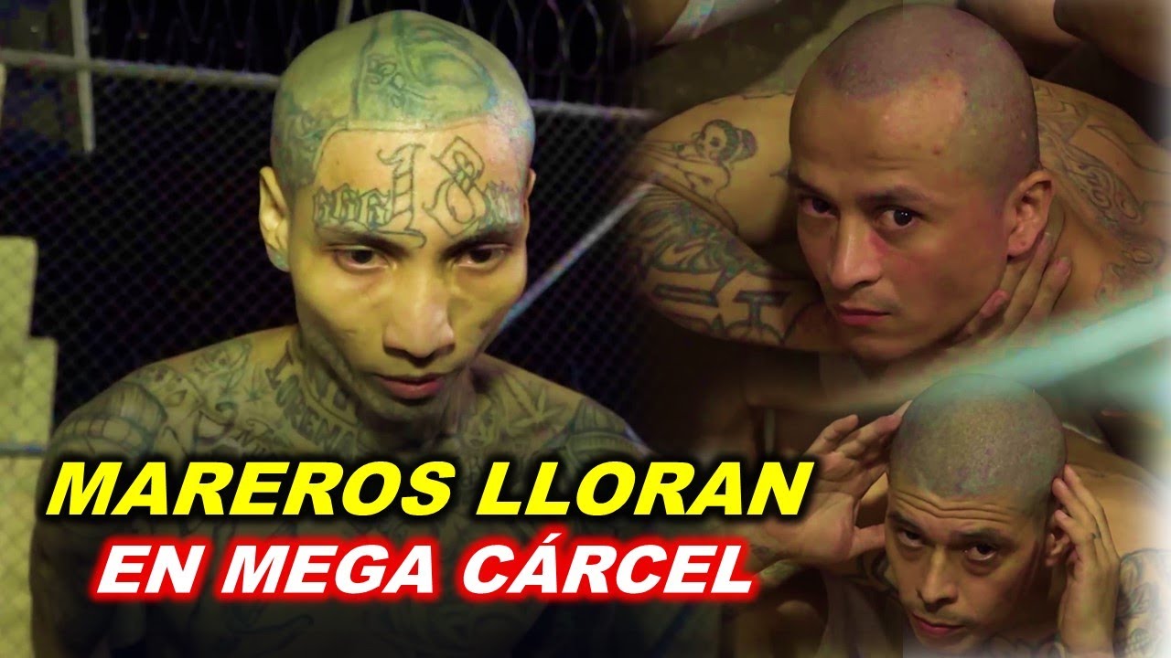 Miles de MAREROS Lloran al saber que No Podrán Salir de Mega Cárcel # ...