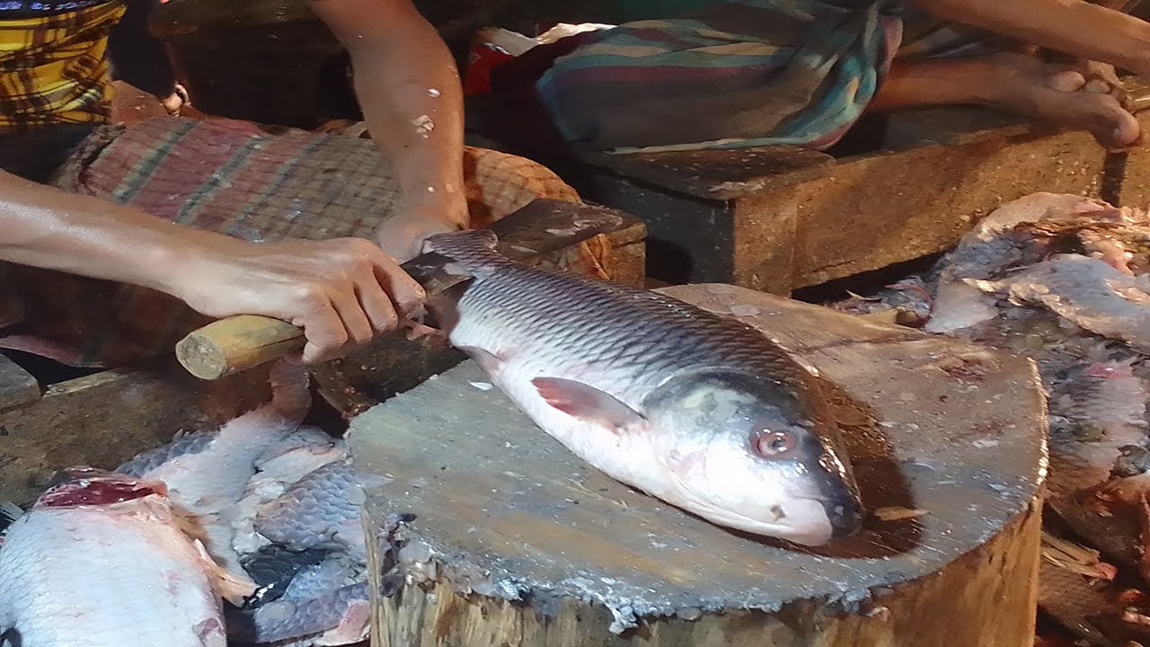 If you are Interested in Learning how to Effectively Cut big Rui Fish ...