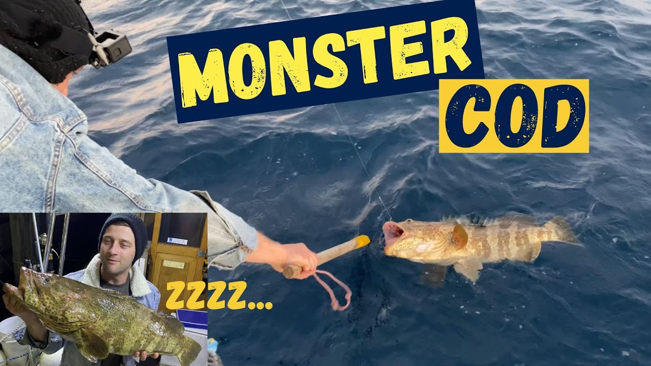 MONSTER COD | Mooloolaba Reef Trip Part 2 - YouTube