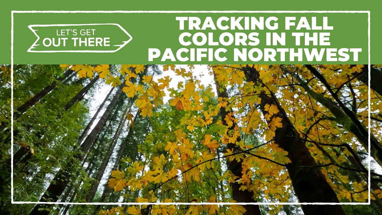 Tracking fall colors in the Northwest - YouTube