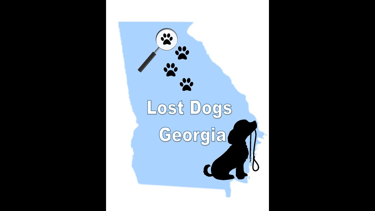 Lost Dogs Georgia - www.lostdogsgeorgia.com - YouTube