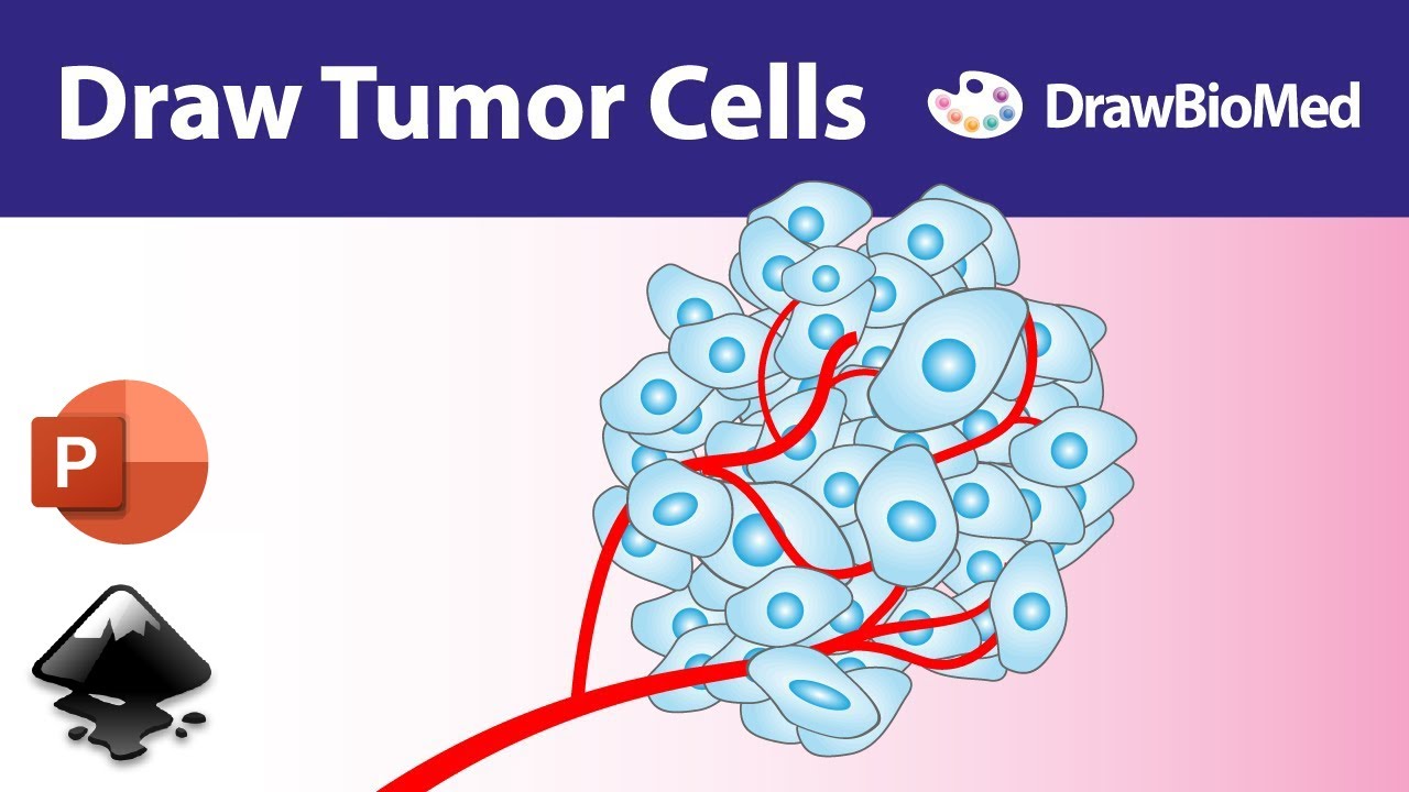 Live Stream Drawing Tumor Cells In PowerPoint And Inkscape YouTube Live Stream Drawing Tumor Cells In PowerPoint And Inkscape YouTube