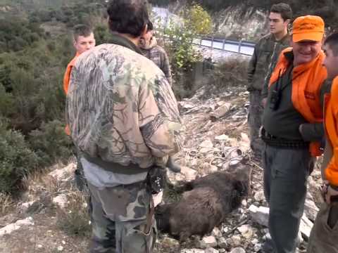 Αγριογουρουνο - YouTube