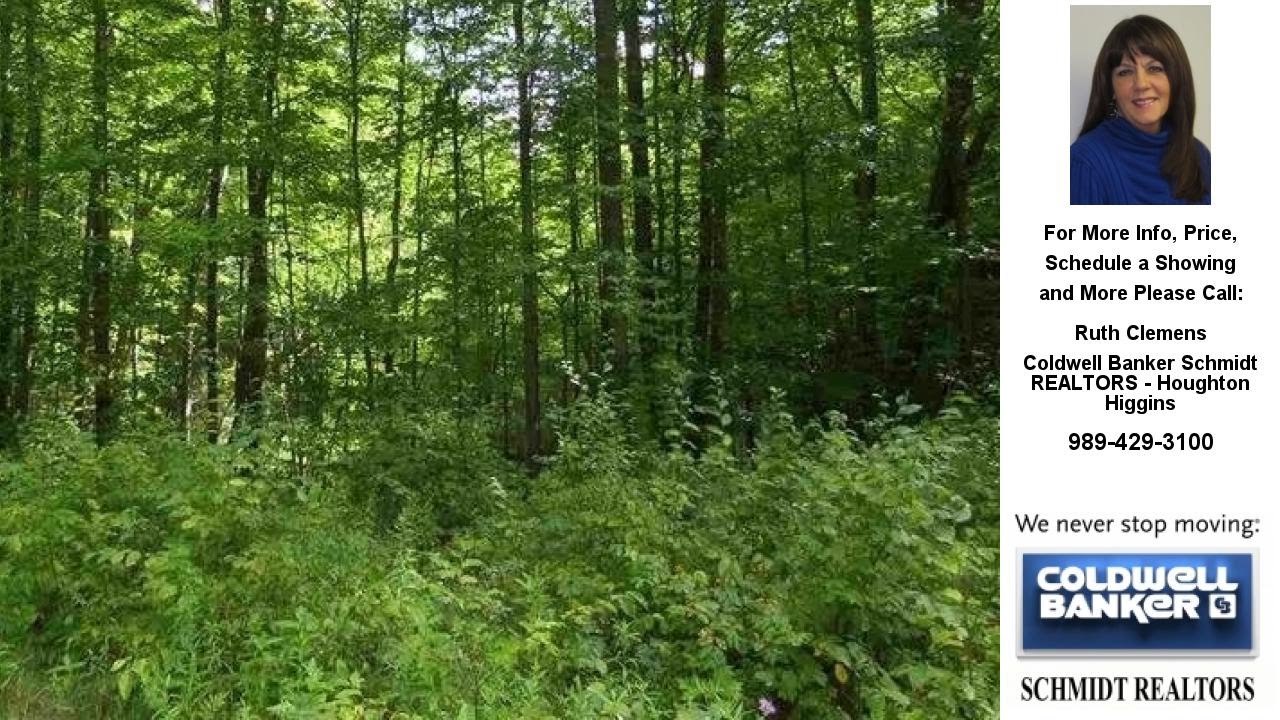 XXX SILSBY RD, Roscommon, MI Presented by Ruth Clemens. - YouTube