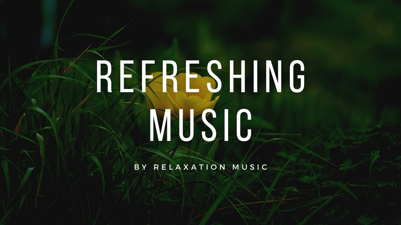 Refreshing music | Meditation music | Mindfullness music - YouTube