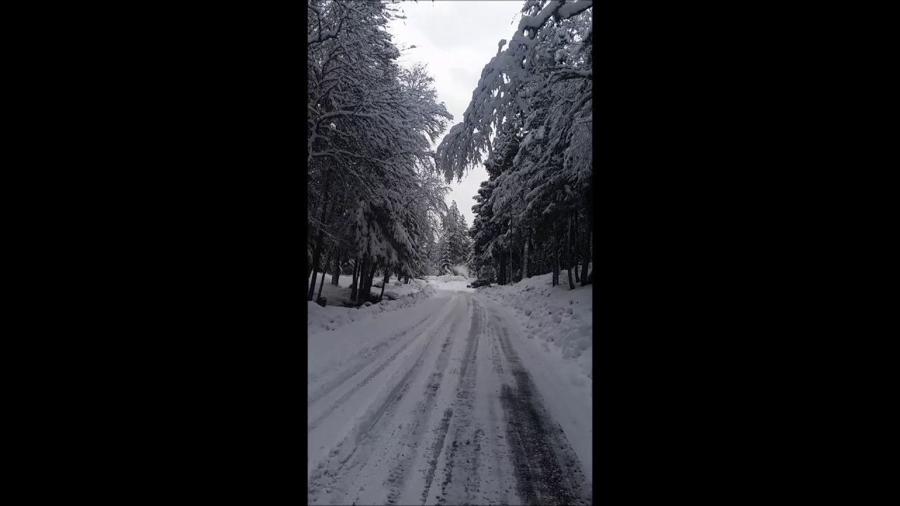 Big Pigg 84" Movie - YouTube