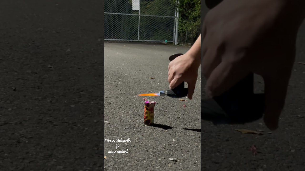 Big Fat Ground Bloom Flower Fireworks | Best Flower Site