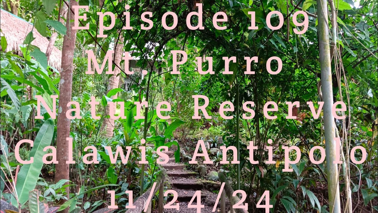 Mt. Purro Nature Reserve Calawis Antipolo 11/24/24 - YouTube