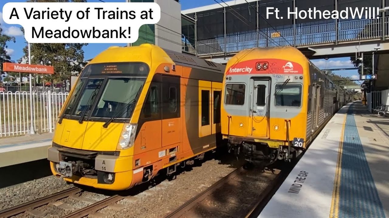 Trains at Meadowbank on a Weekday [Ft. @HotheadWill] | Train Vlog #49 ...