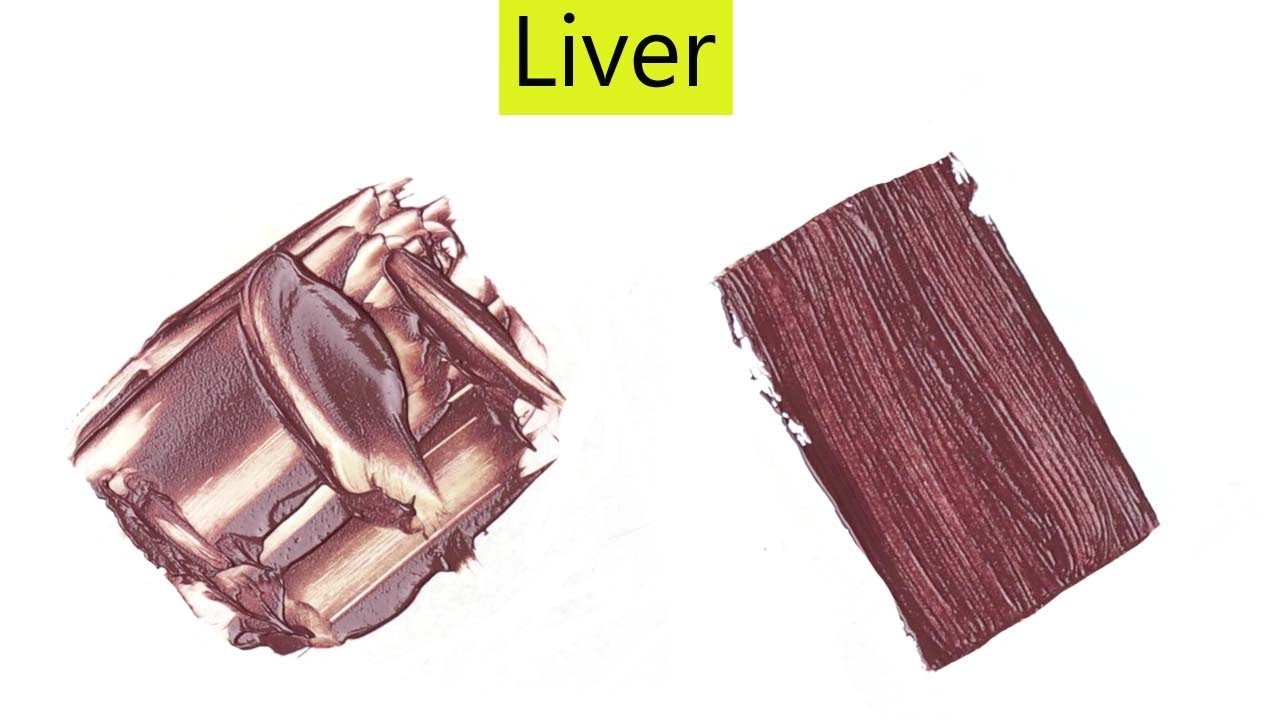 Liver Color How To Make Liver Color Color Mixing Video 1 - YouTube