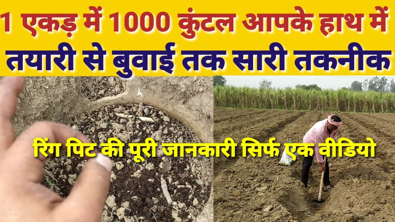 रिंग पिट गन्ना विधि पूरी जानकारी । Ring Pit Method Sugarcane Farming ...