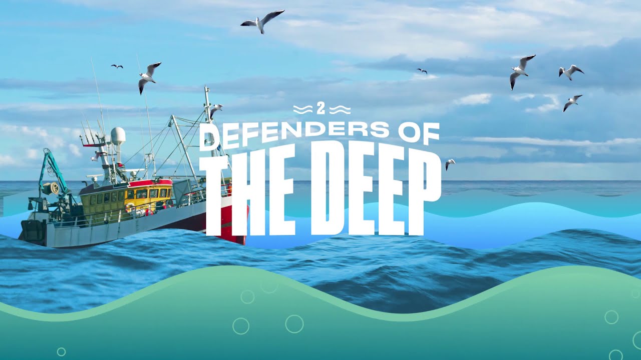 How to save the ocean | Animation | WWF - YouTube