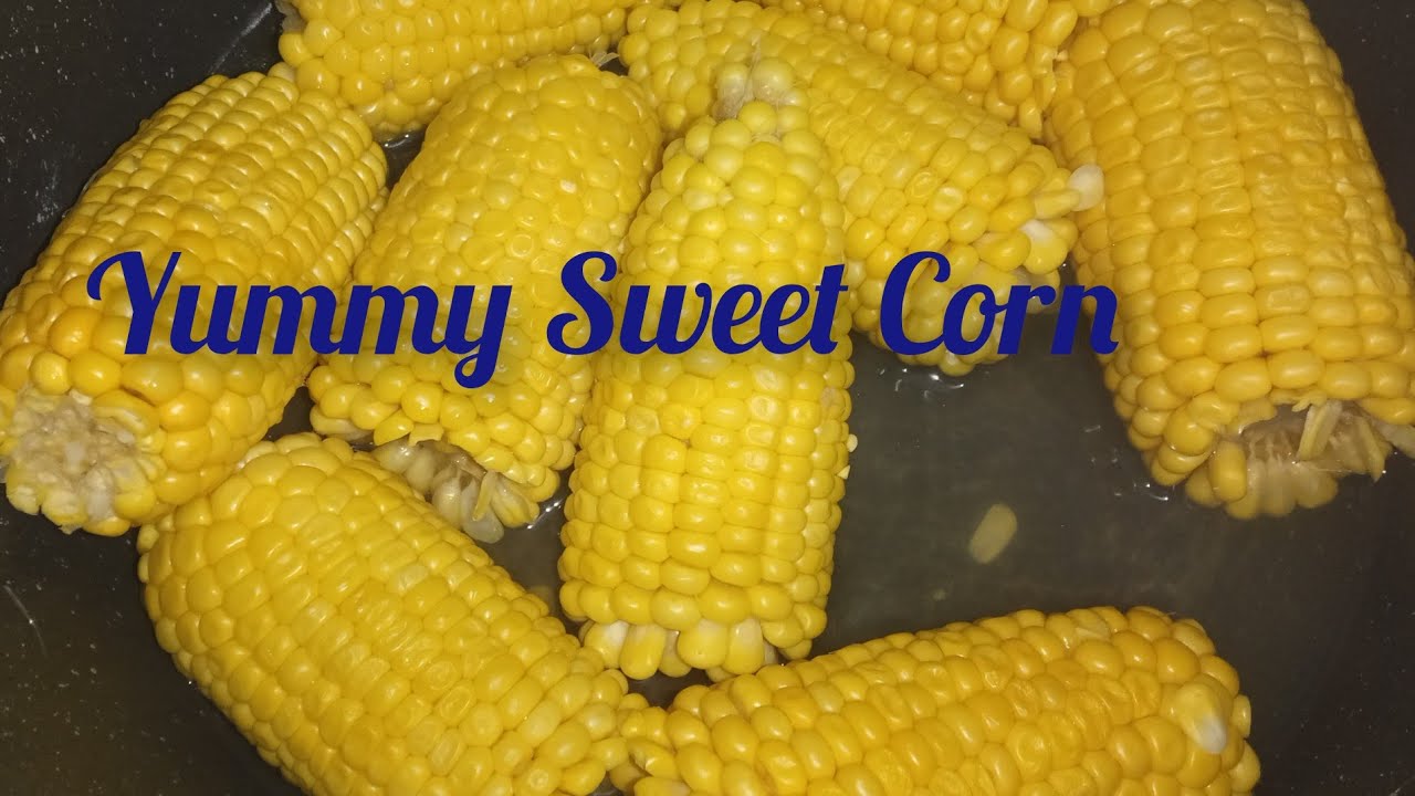 Cooking Sweet Corn for Midnight Snack - YouTube