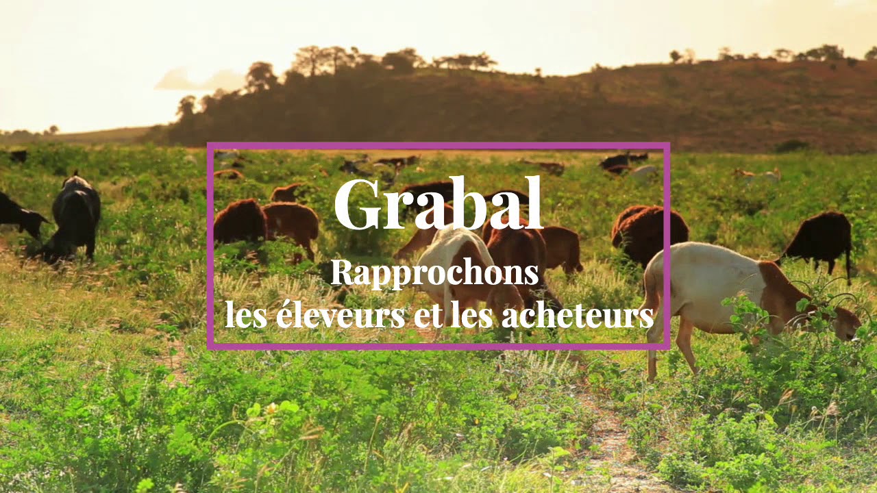 Grabal: application mobile de mise en relation 4 - YouTube