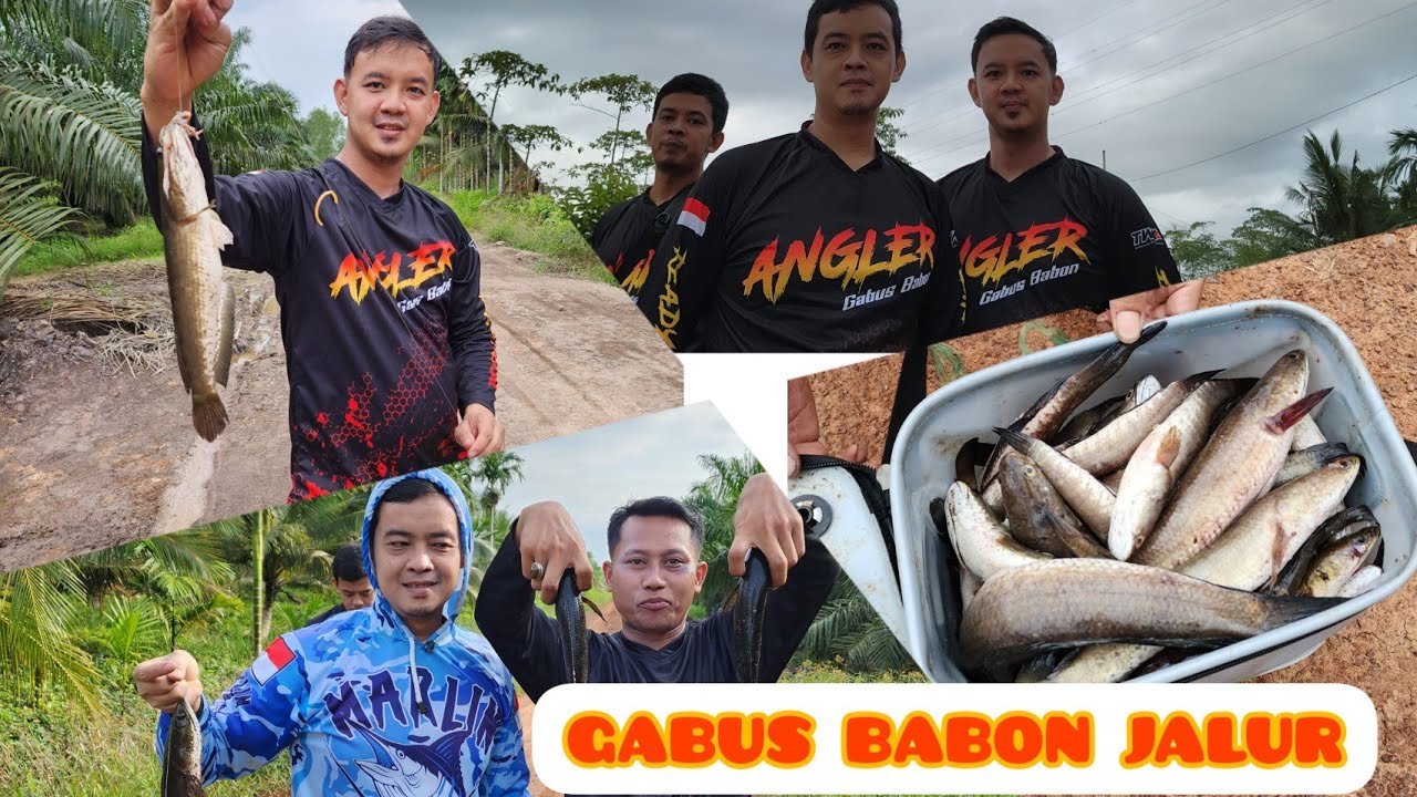 MANCING GABUS DI JALUR BANYUASIN (ASB PROJECT FISHING & CAMP) - YouTube