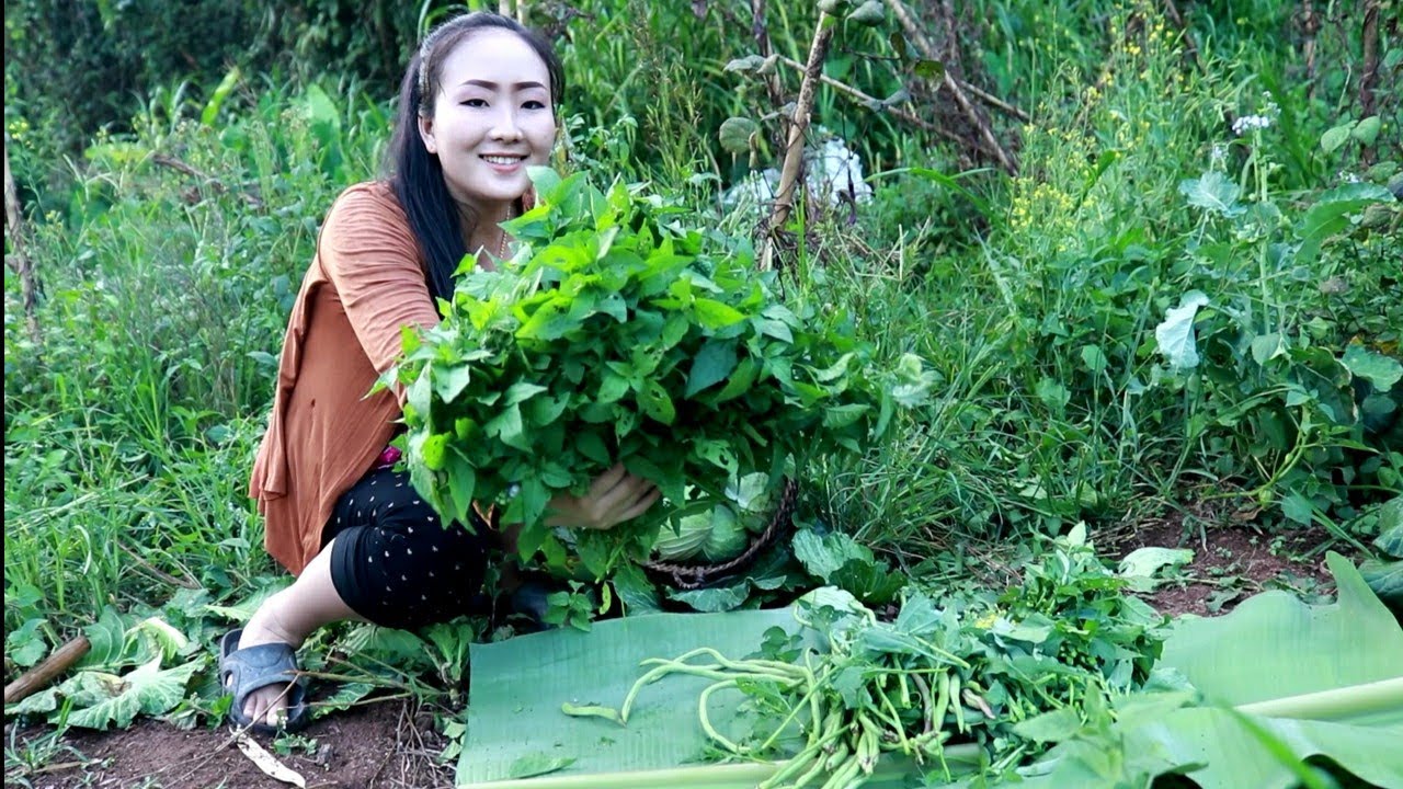 Mus des zaub iab zaub laj siab 03/04/2019 - YouTube