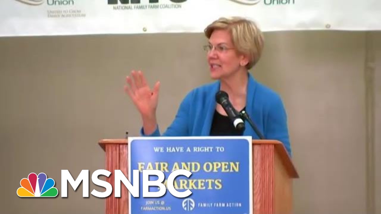 Will Senator Elizabeth Warren’s Corporate Tax Plan Get Support ...