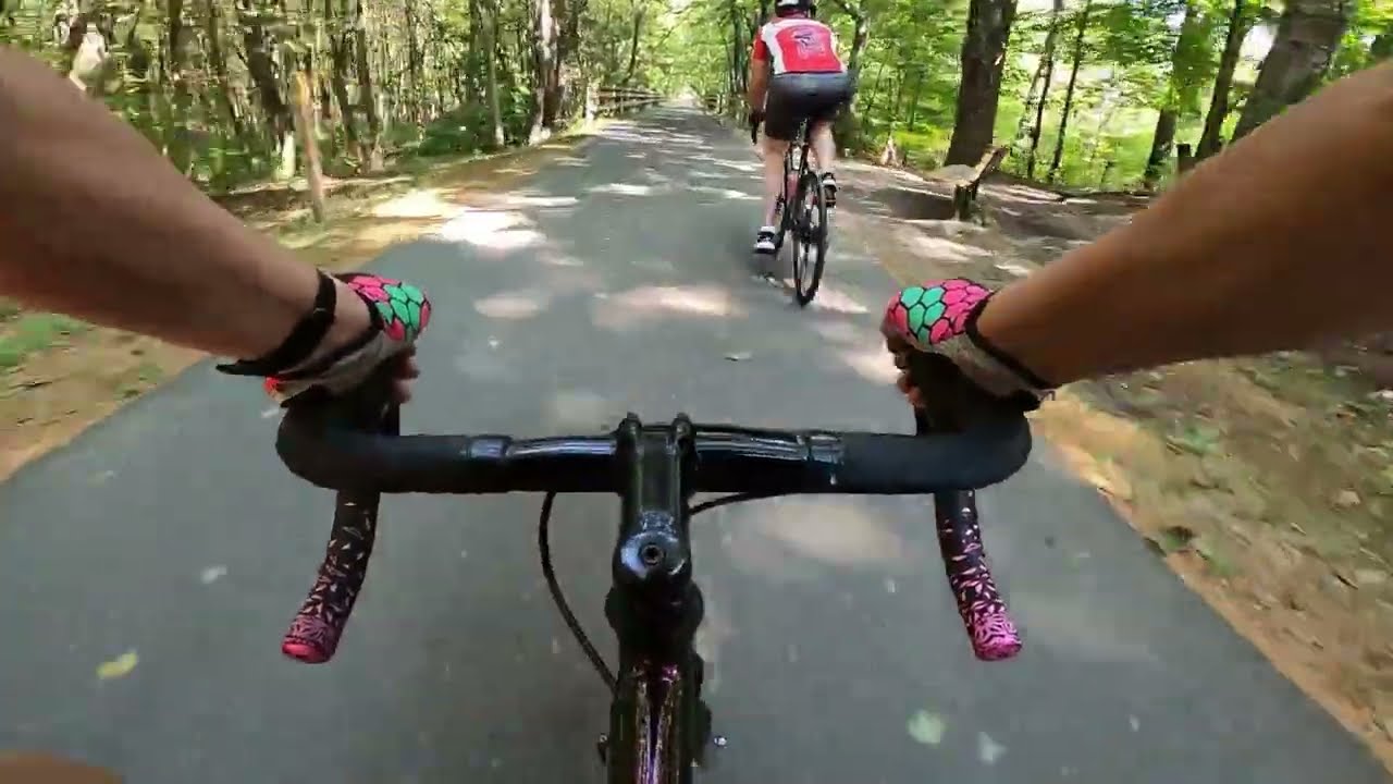 Bruce Freeman Rail Trail / Cycling Past Sixty / The Road to Recovery ...