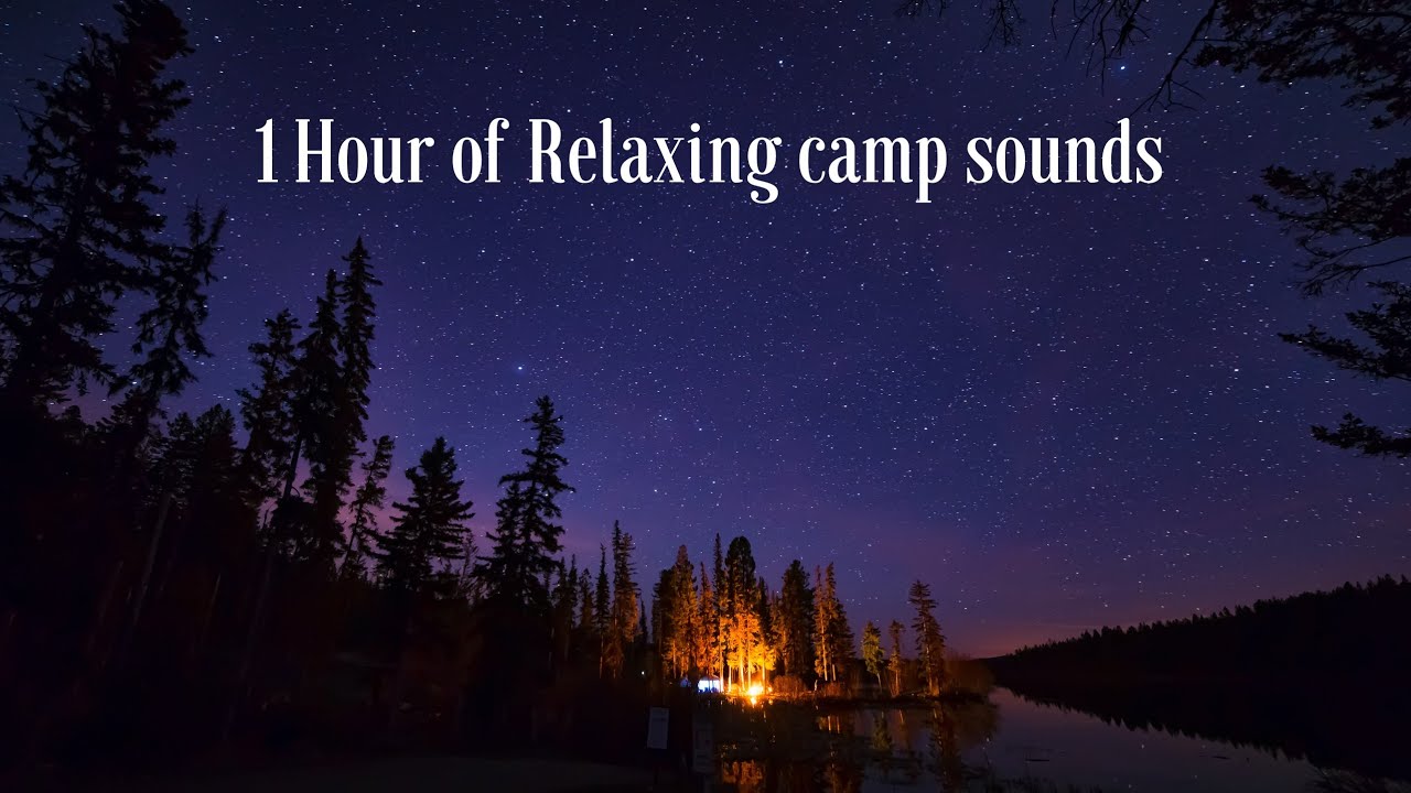 Relax Sounds25 - 1 Hour of Relaxing camp sounds (BlackScreen) - YouTube