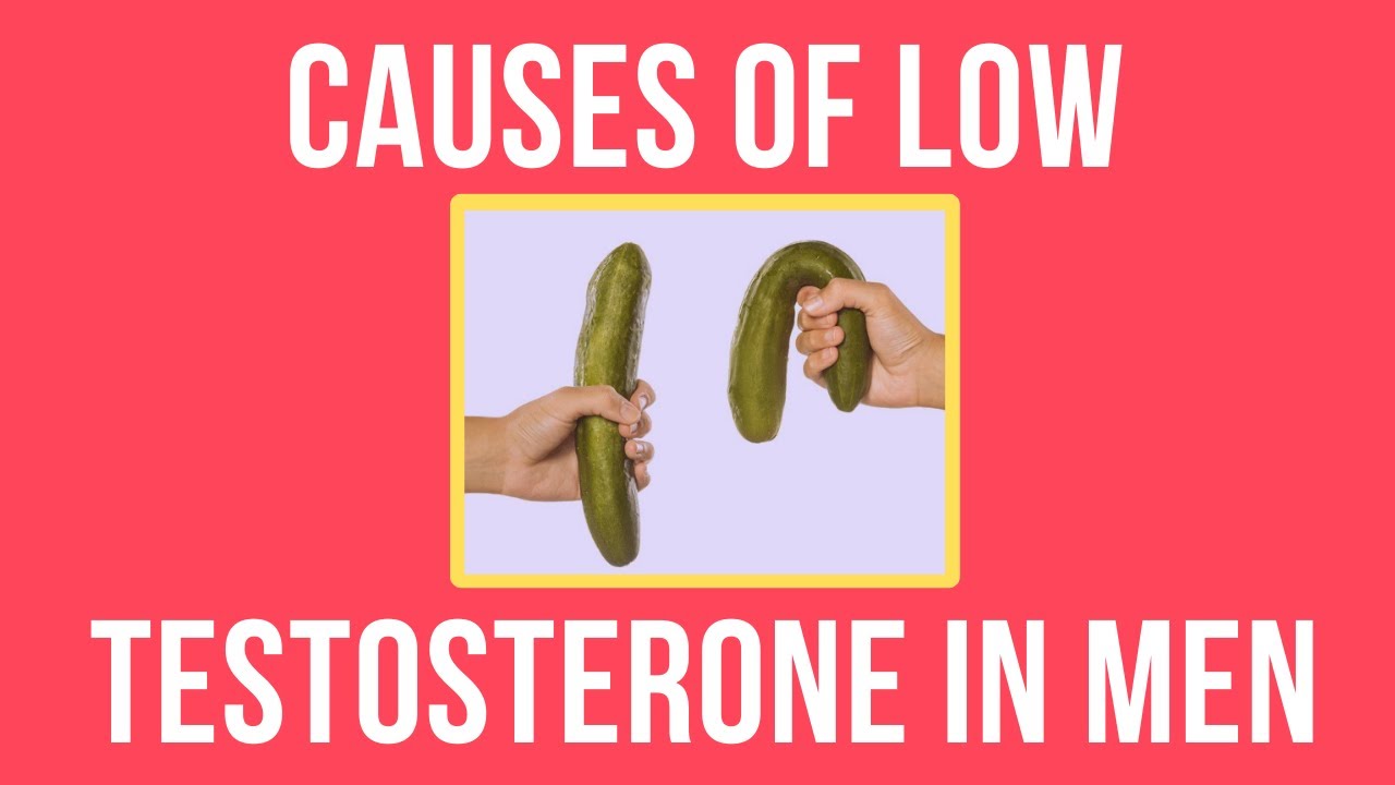 Lost Masculinity: Exploring the Causes and Consequences of Low ...