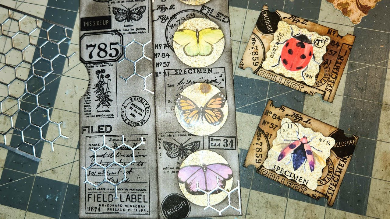 BUTTERFLY Window Wrap-around SIDETUCK & Bug Slides-SPECIMEN Journal ...