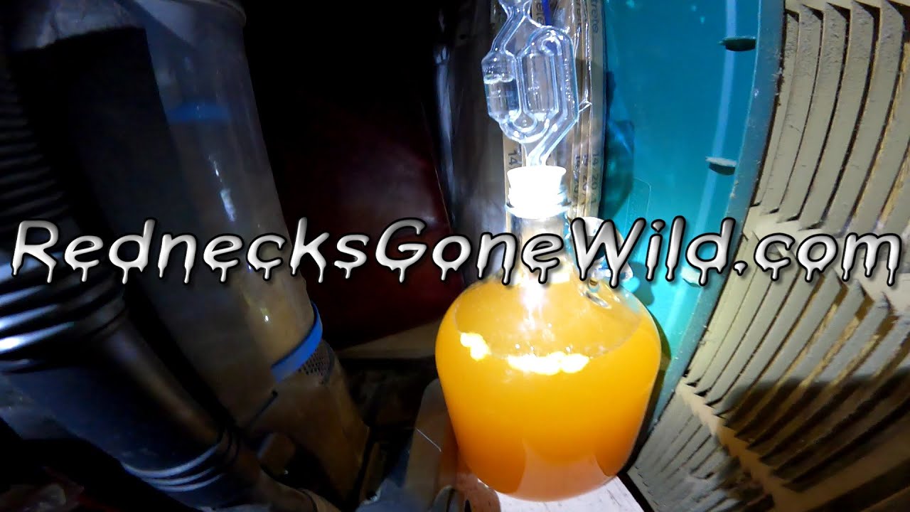 Easy Redneck Wine At Home Cheap - YouTube