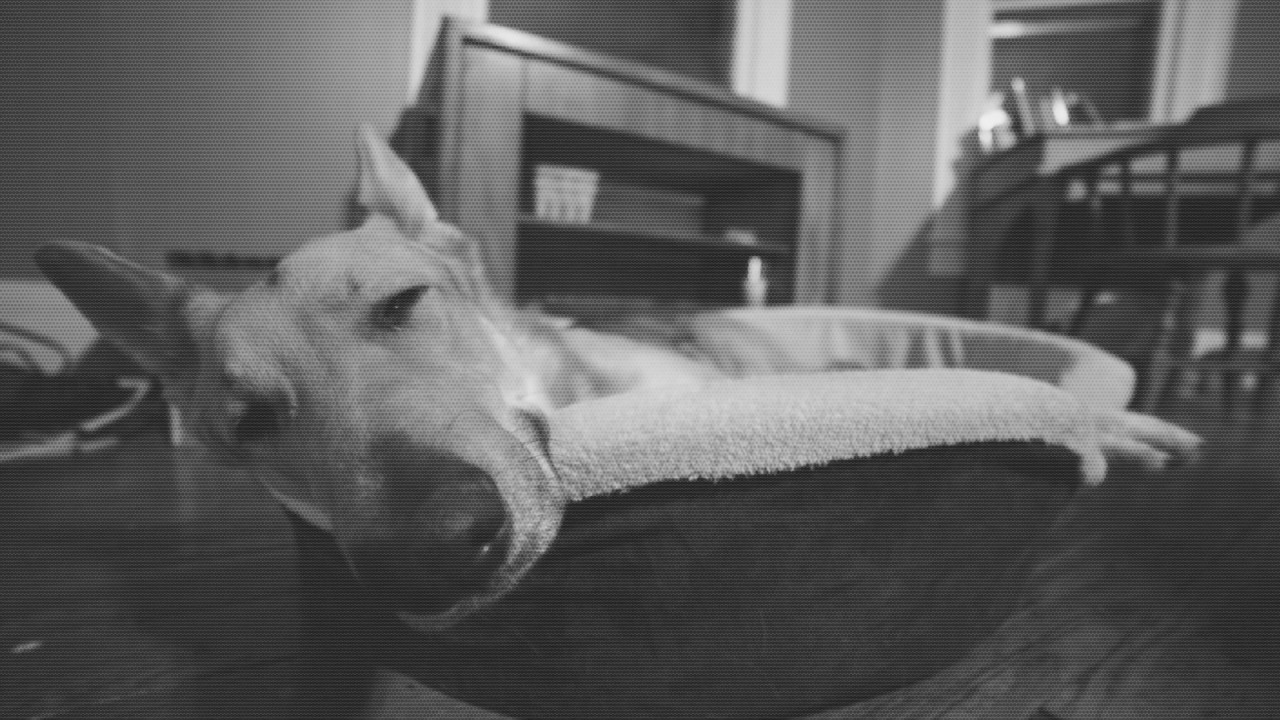 Brahm's Lullaby (Arrangement for Orchestral Instruments) - YouTube