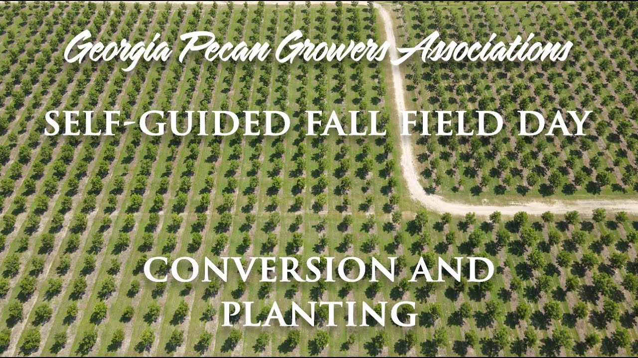 Fall Field Day 2021 Conversion And Planting YouTube Fall Field Day 2021 Conversion And Planting YouTube