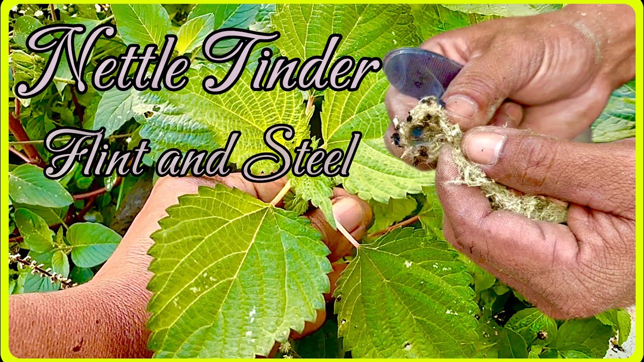Nettle tinder, Making Fire with Flint and Steel - YouTube