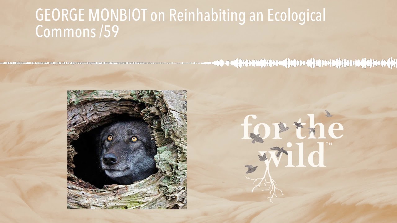 GEORGE MONBIOT on Reinhabiting an Ecological Commons /59 - YouTube