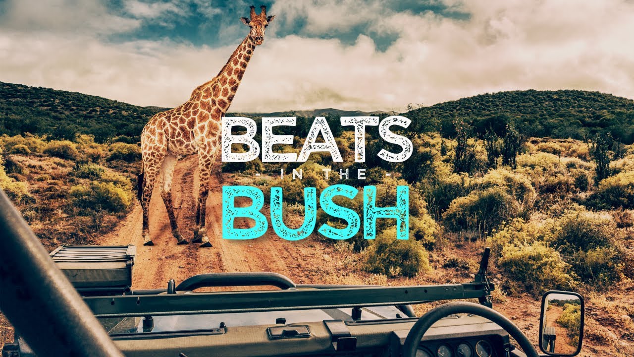 Beats in the Bush - Music & Safari Festival [2021 aftermovie] - YouTube