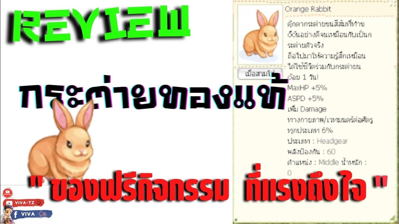 Review กระต่ายทองแท้ " ของฟรีกิจกรรม ที่แรงถึงใจ " | Ragnarok Gravity ...
