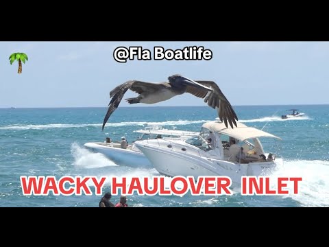 WACKY & BIZARRE THINGS YOU ONLY SEE AT HAULOVER INLET #wacky #haulover ...