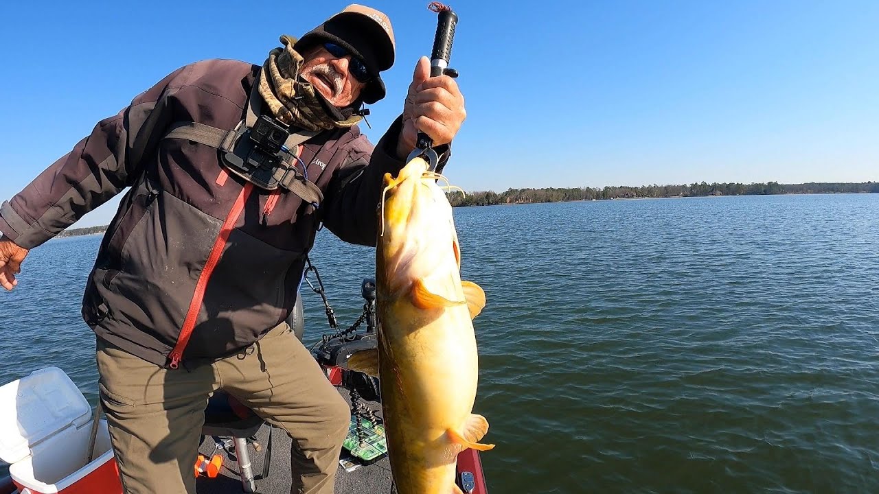The Art Of Changing Baits To Catch More Fish, Monster Perch - YouTube